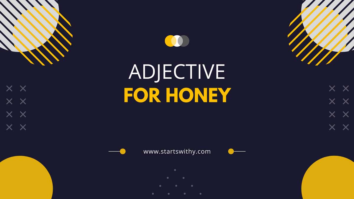 190+ Adjective Words To Describe Honey