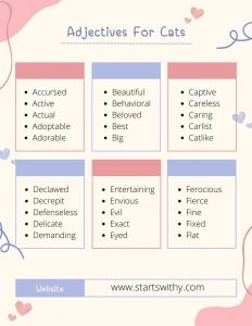450+ Adjectives to Describe a Cat