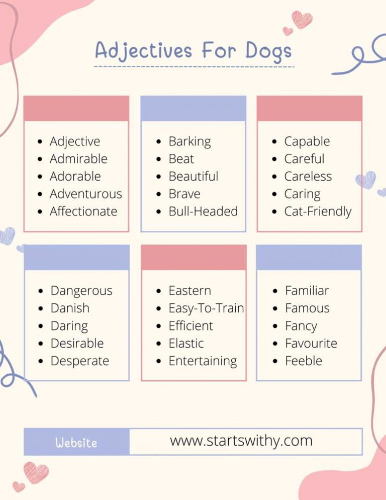 900 Adjective Words To Describe Dogs 900 Adjective Words To Describe Dogs