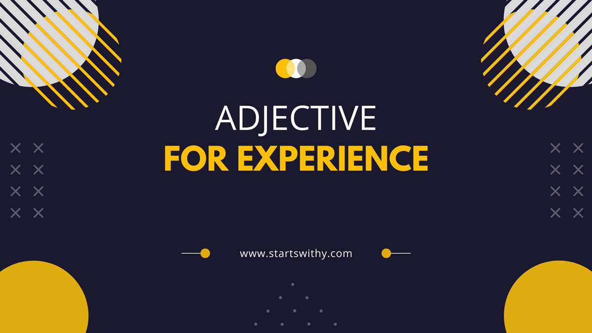 1200+ Adjective Words to Express Experience