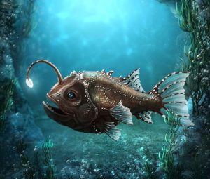 50+ Fishes That Start With L