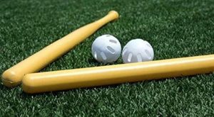 38 Sports That Start With W