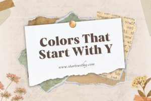 116+ Colors That Start With Y (Names, Hex, RGB, CMYK)