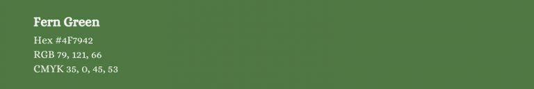 190+ Colors That Start With F (Names, Hex, RGB, CMYK)