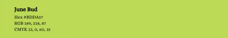 105+ Colors That Start With J (Names, Hex, RGB, CMYK)