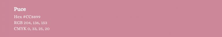 108+ Colors That Start With P (Names, Hex, RGB, CMYK)