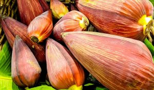 30+ Vegetables That Start With B