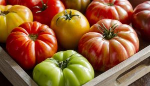 20+ Vegetables That Start With H