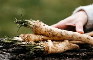 20+ Vegetables That Start With H