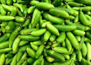 20+ Vegetables That Start With K