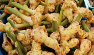 30+ Vegetables That Start With L