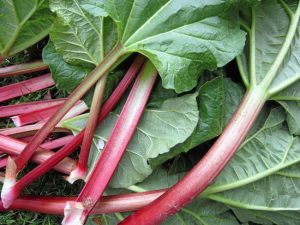 52+ Vegetables That Start With P