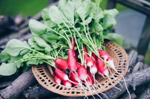 30+ Vegetables That Start With R