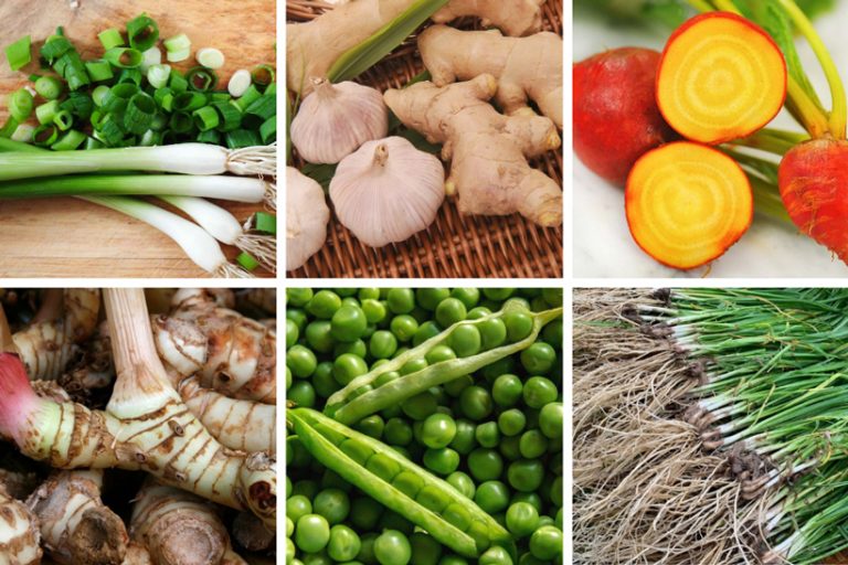 30+ Vegetables That Start With G