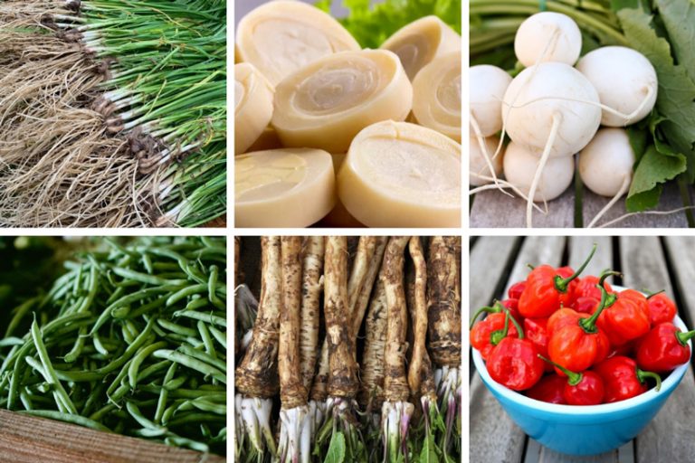 20+ Vegetables That Start With H