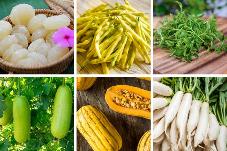 20+ Vegetables That Start With W