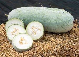20+ Vegetables That Start With W