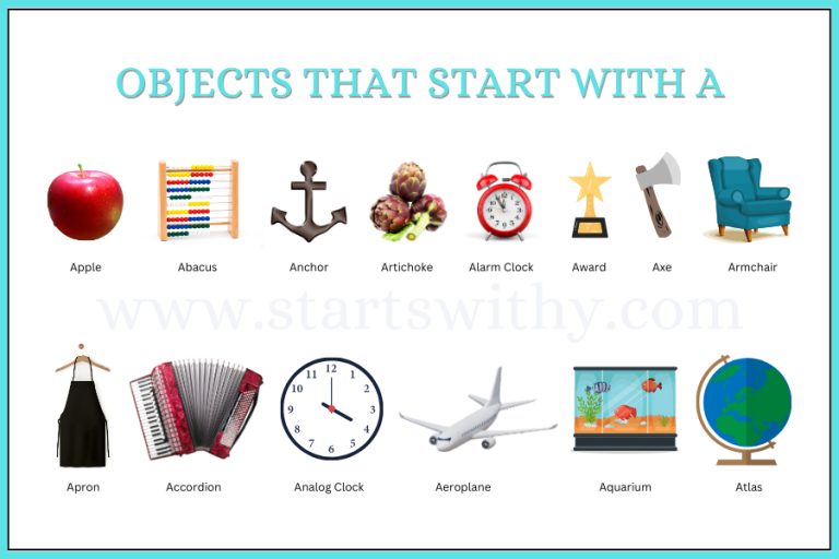 720+ Objects That Start With A