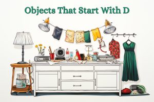 620+ Objects That Start With D