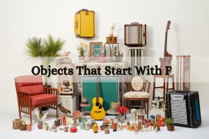 740+ Objects That Start With F