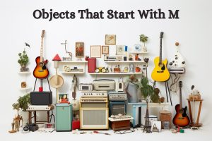 1055+ Objects That Start With M