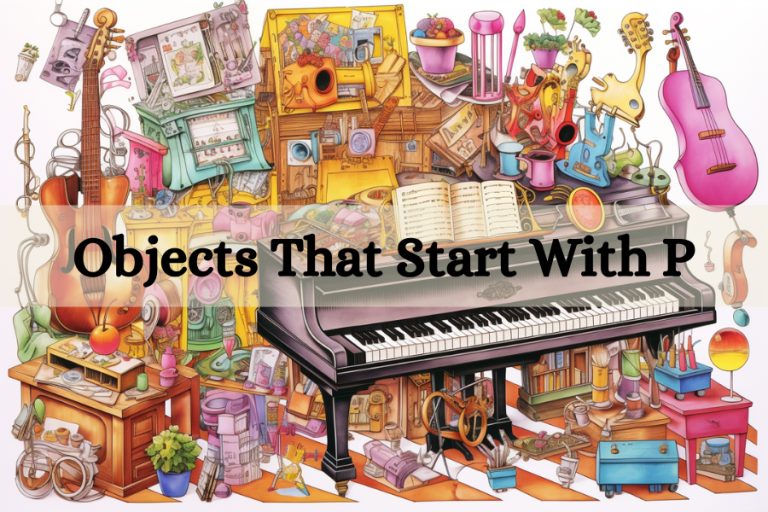 1765+ Objects That Start With P
