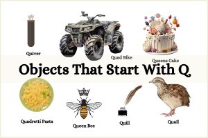 200+ Objects That Start With Q