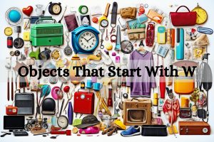 895+ Objects That Start With W