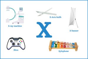 760+ Objects That Start With C