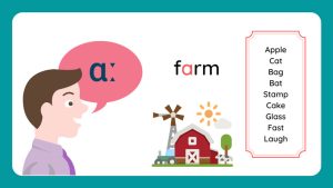 Types of Vowels: Examples and Insights