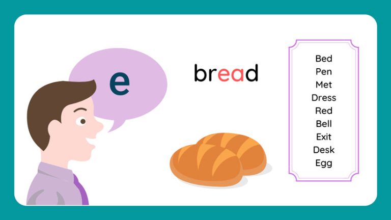 Types of Vowels: Examples and Insights