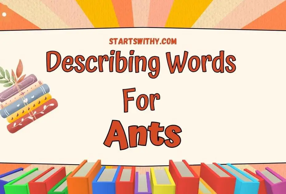 Describing Words for Ants - Examples & Adjectives