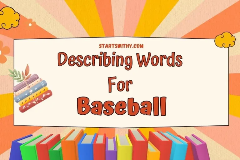 Describing Words for Baseball - Examples & Adjectives