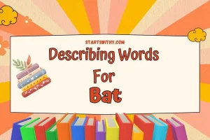 Describing Words for Bat - Examples & Synonyms