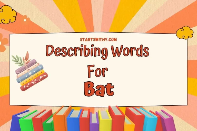 Describing Words for Bat - Examples & Synonyms