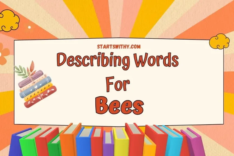 Describing Words for Bees - Examples & More