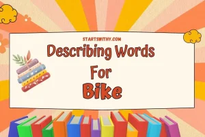 Describing Words for Bike - Examples of Adjectives