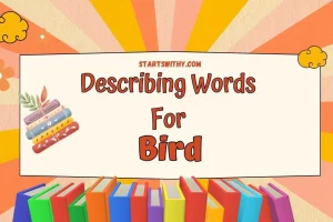 Bird Adjectives: Describing Words & Examples