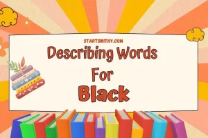 Describing Words for Black - Examples & Adjectives