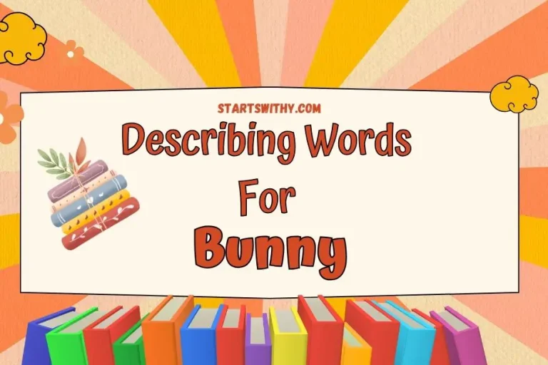 Bunny Adjectives: Examples & Descriptive Words
