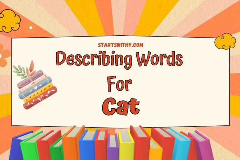 Adjectives for Cat: Describing Words & Examples