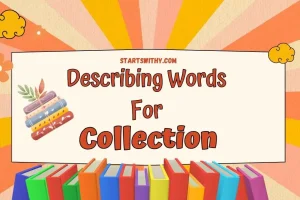 Describing Collection: Adjectives with Examples