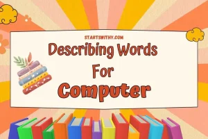 Describing Words for Computer: Examples & Tips