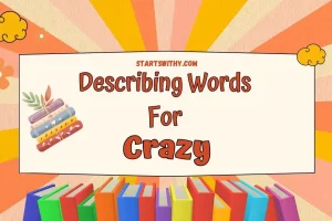 Crazy Adjectives: Describing Words & Examples