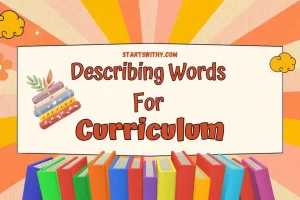 Describing Words for Curriculum - Examples & Tips