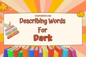 Describing Words for Dark: Examples & Synonyms