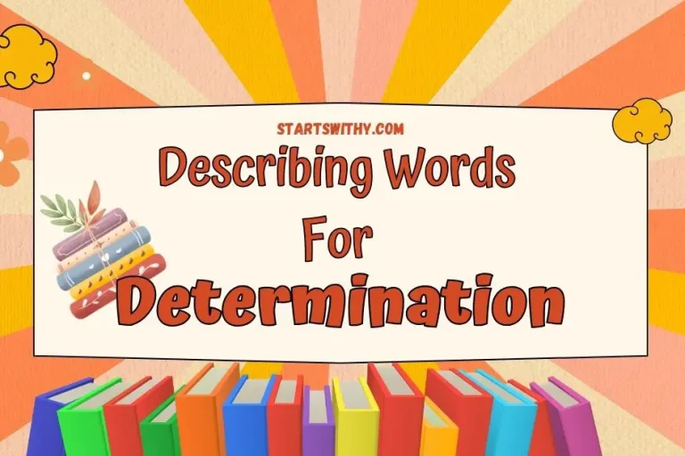 Determination Adjectives: Examples of Describing Words
