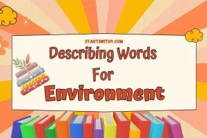 Describing Words for Environment: Examples and Synonyms
