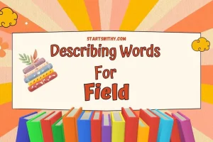 Field Adjectives: Describing Words & Examples