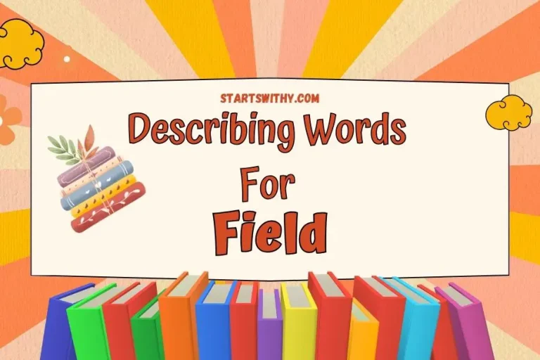 Field Adjectives: Describing Words & Examples